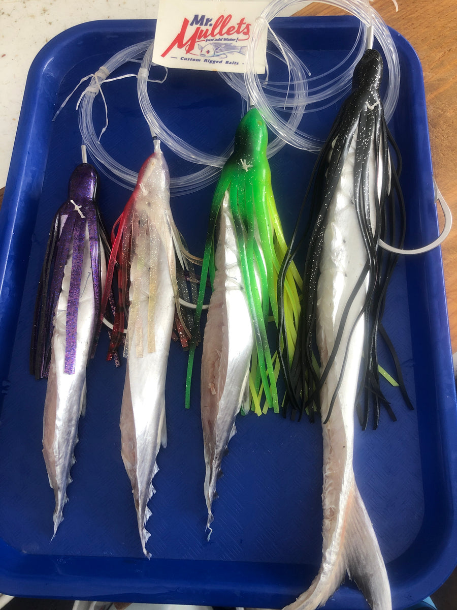 Belly Baits – Mr. Mullets Baits