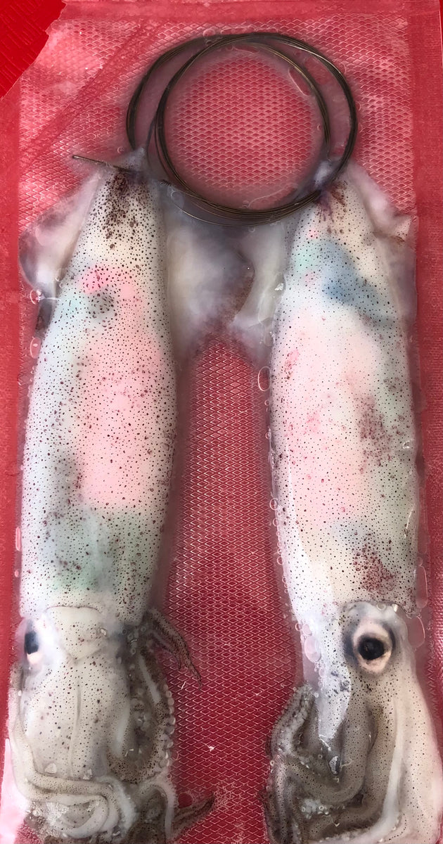 Wire trolling squid 2 pk – Mr. Mullets Baits