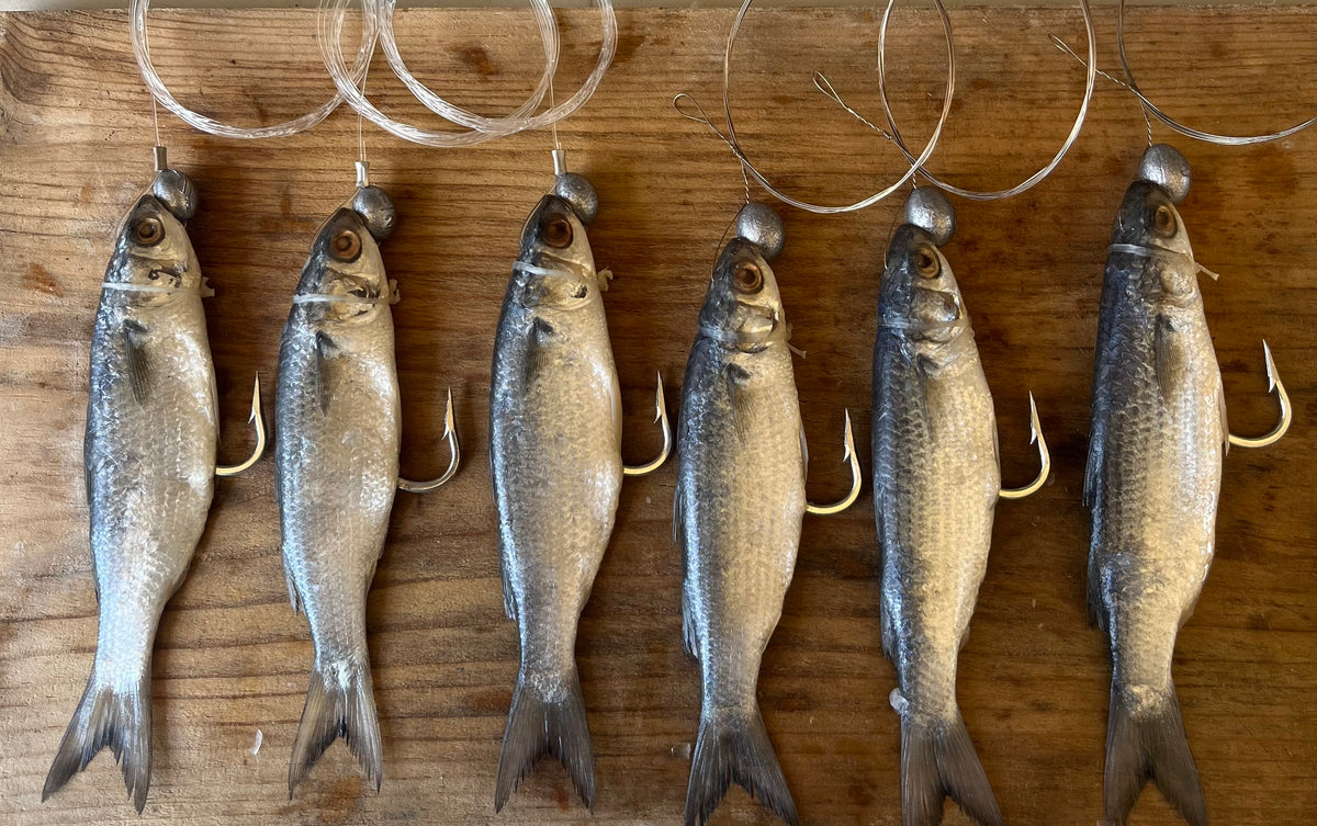 3 PK SINGLE HOOK ON WIRE 5-7" CHIN WEIGHTED SWIMMING MULLETS – Mr ...