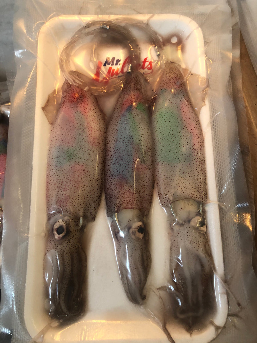 3 pk mono rigged squid with color – Mr. Mullets Baits